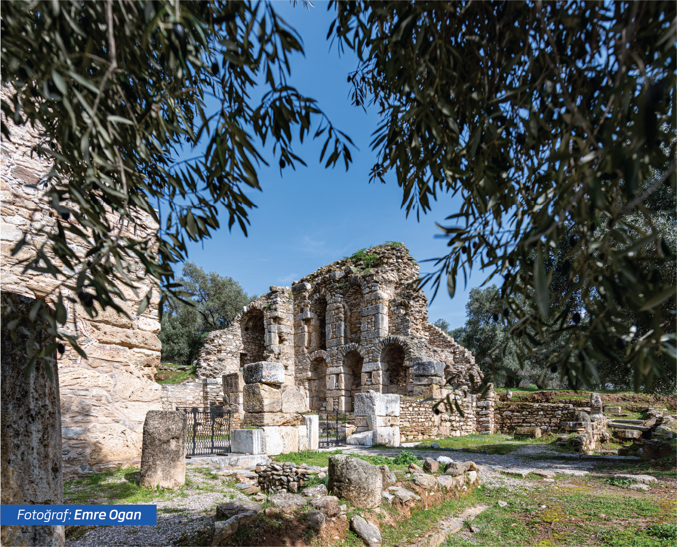 Nysa - İş Sanat