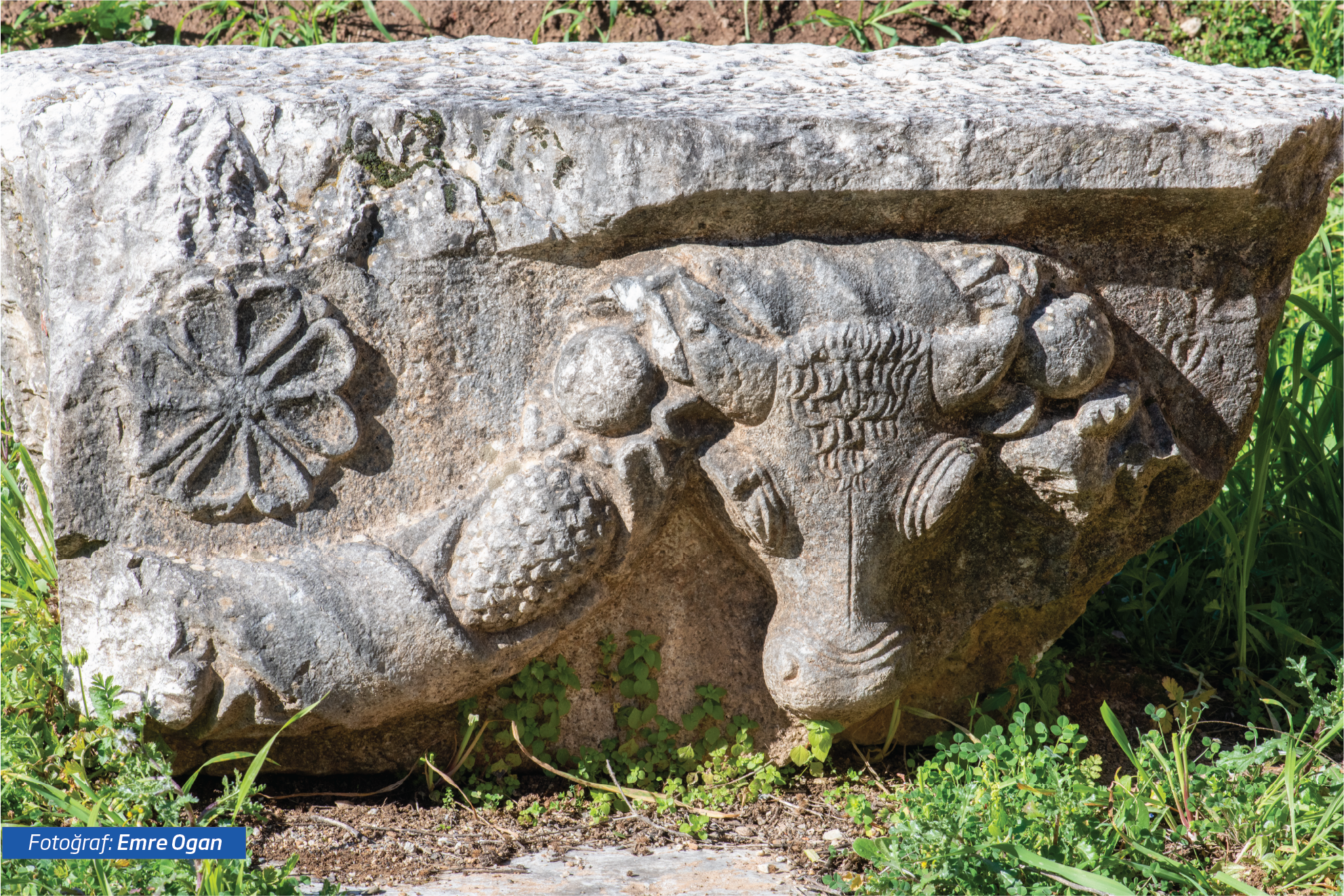 Nysa - İş Sanat